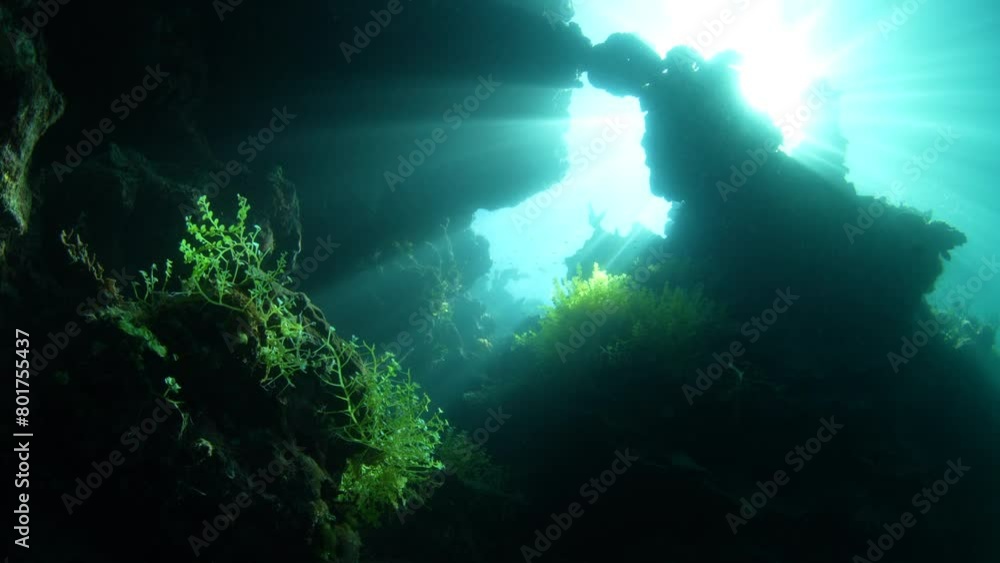 Beams of bright sunlight descend into the depths along a coral reef ...