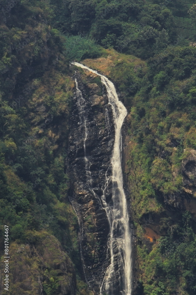 lush green nilgiri mountains and beautiful catherine waterfall from ...