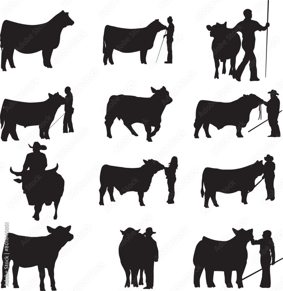 Print Show steer EPS; Clipart Livestock EPS; Show steer bundle; Show ...