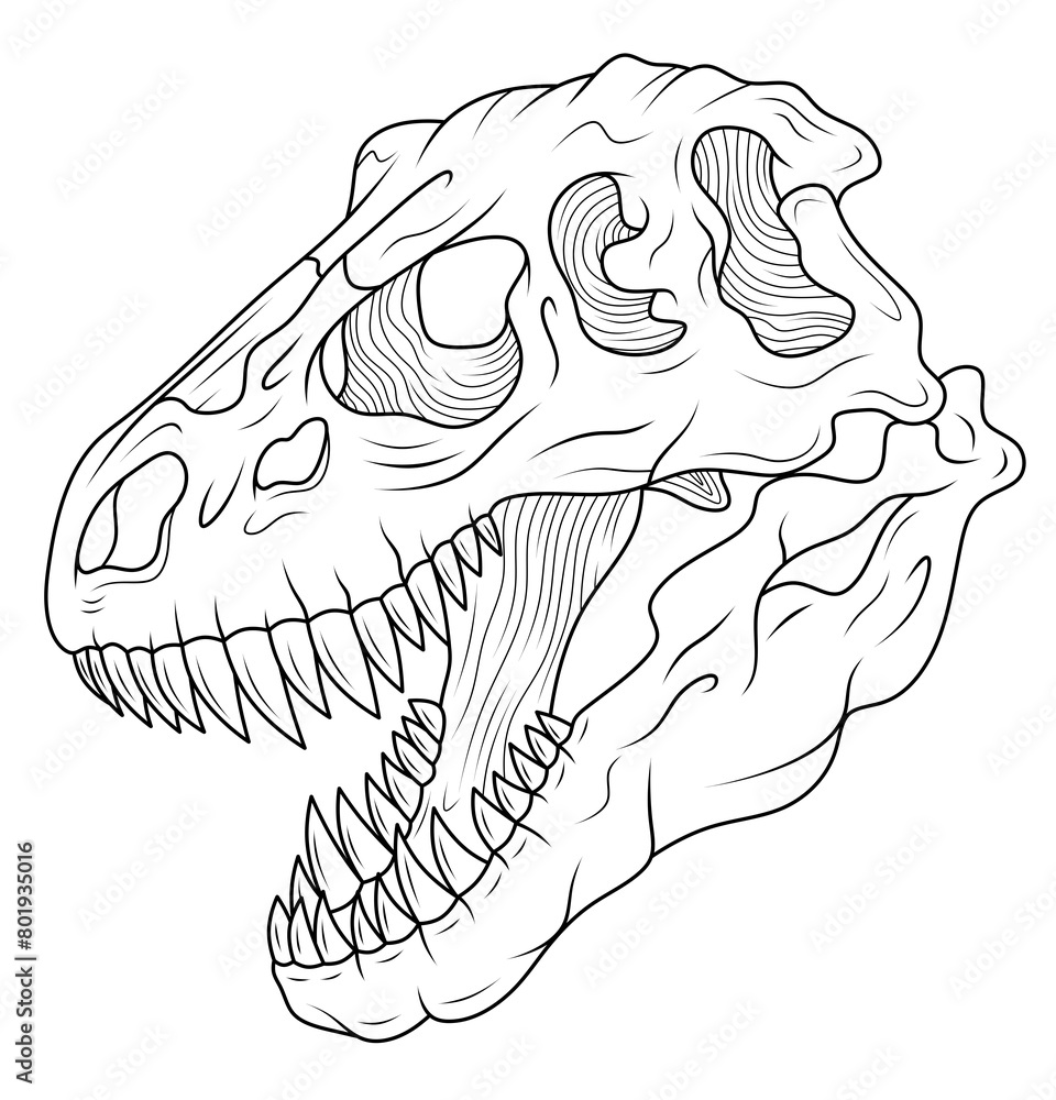 Tyrannosaurus skull with large sharp teeth drawn with lines. Bones of ...