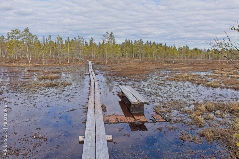 Hiking trail duckboard path on Viiankiaapa Nature Trail at Viiankiaapa ...