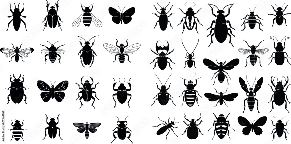 Insects silhouettes set. Black stencils shapes of bugs, outline of ...