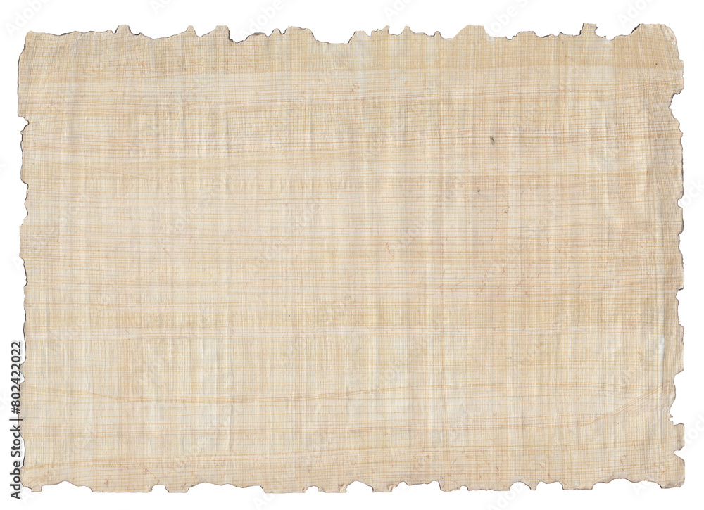 Macro of genuine handmade papyrus paper surface burned at the edges ...