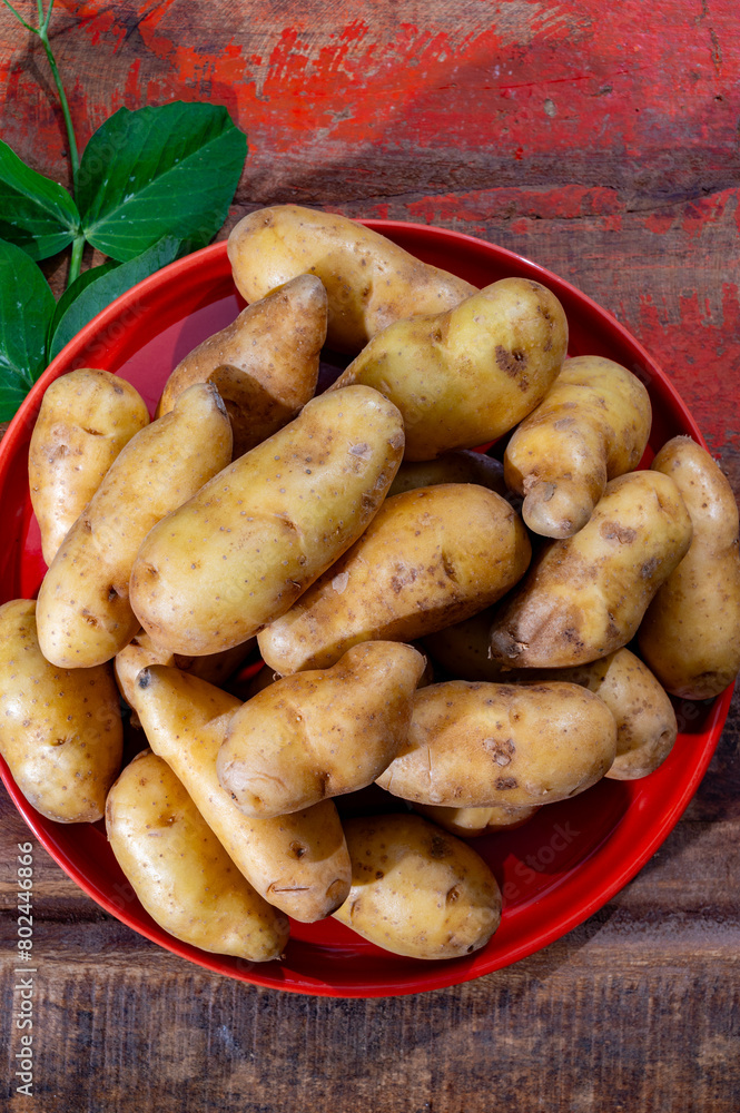 Ratte potato, La Ratte, La Reine Ratte du Touquet, or Asparges small ...