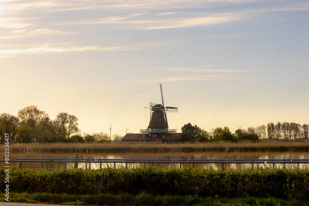Countryside landscapes of polder in spring, The Molen Leonide along the ...