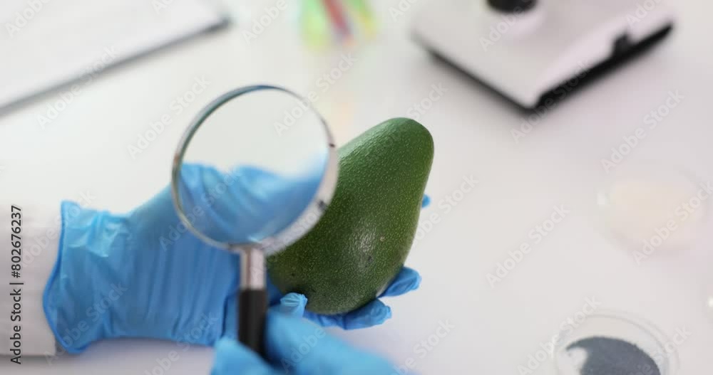 Examining the surface of an avocado using a magnifying glass in a ...