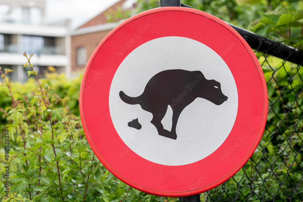 warning sign,Traffic sign prohibited to let the dog shit here,dog ...