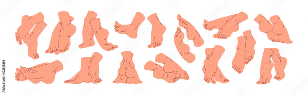 Barefoot female feet in different poses set. Bare human legs anatomy ...