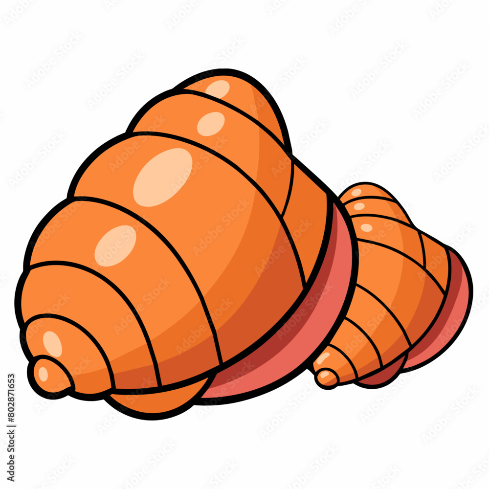 Shells vector clipart art illustration, solid white background (2 ...