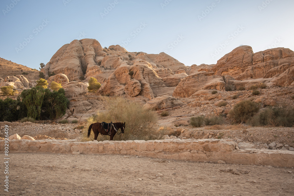 Horse in Jordanian Petra in Middle East. Beautiful Scenery of Rocky ...