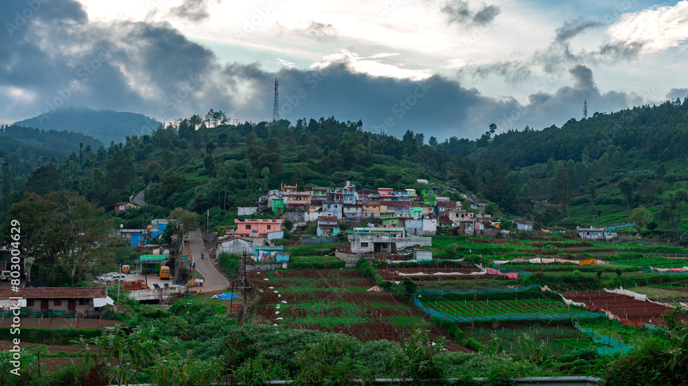 Nilgiris beauty of Ooty tea estates, where emerald-green fields meet ...