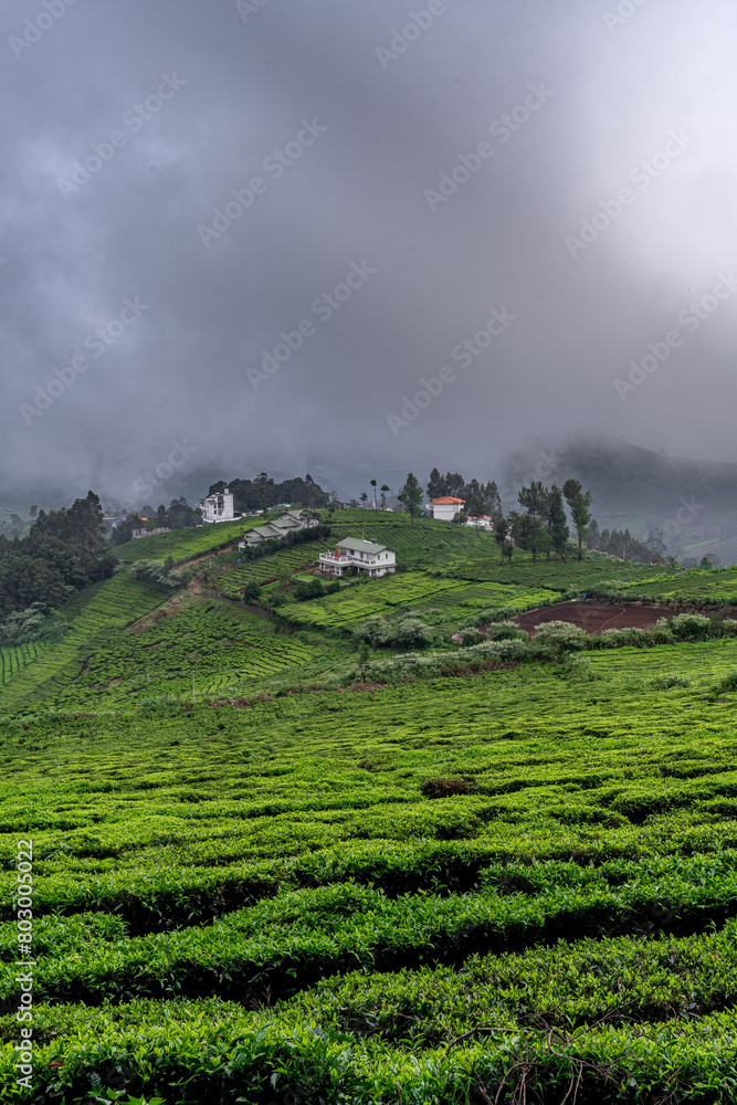 high-resolution stock photo collection of Ooty's landscape showcases ...