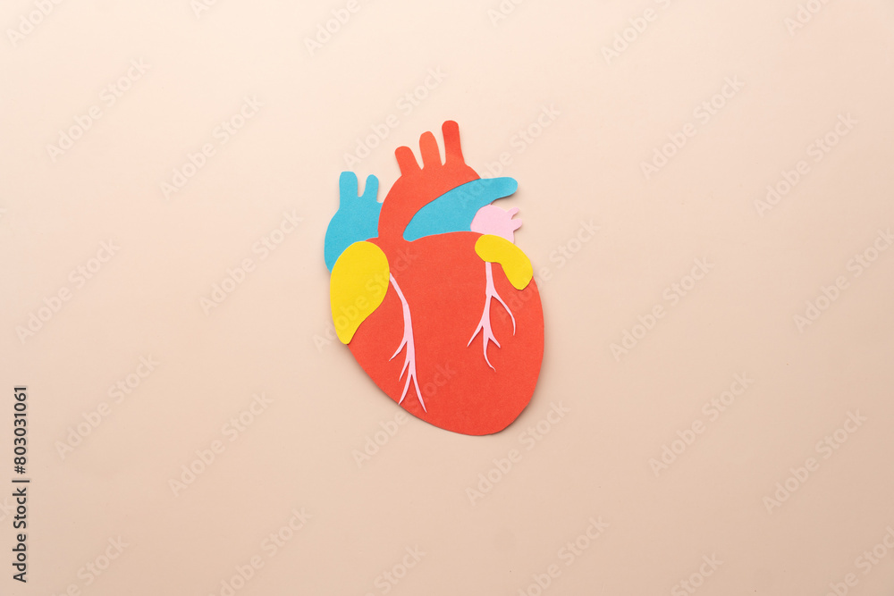 Human heart organ anatomy made from paper on beige background. Template ...