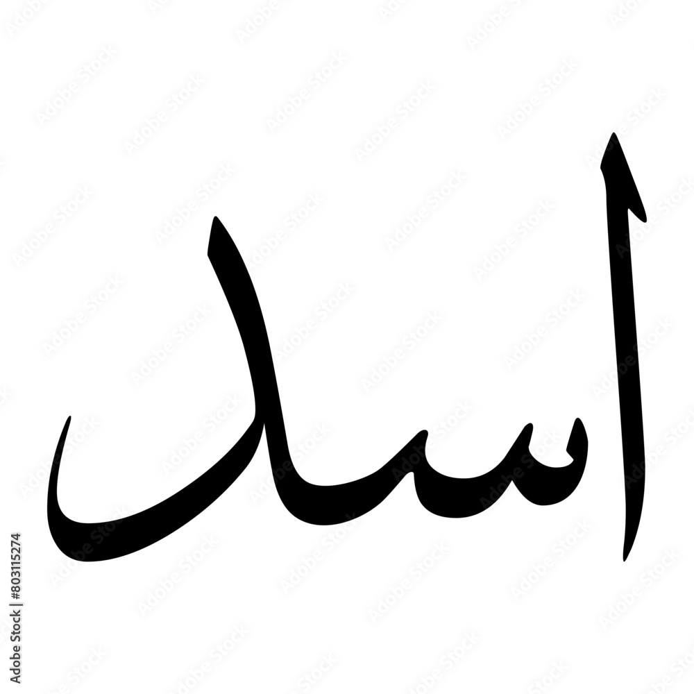 Asad Muslim Boy Name Sulus Font Arabic Calligraphy Stock Vector | Adobe ...