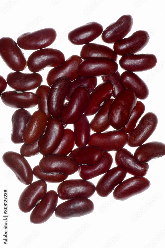 Kidneybohne, Gartenbohne Phaseolus vulgaris Stock Photo | Adobe Stock