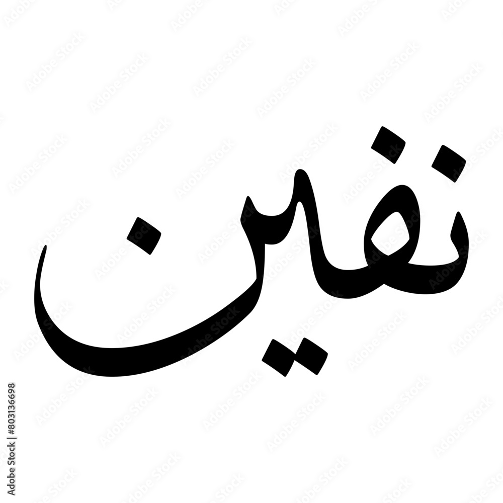 Novin Muslim Boy Name Sulus Font Arabic Calligraphy Stock Vector ...