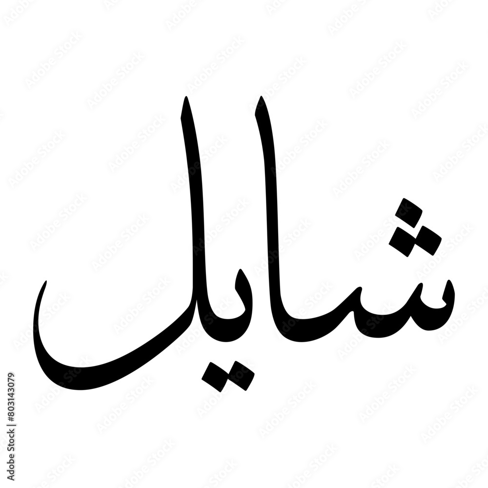 Shayal Muslim Boy Name Sulus Font Arabic Calligraphy Stock Vector ...