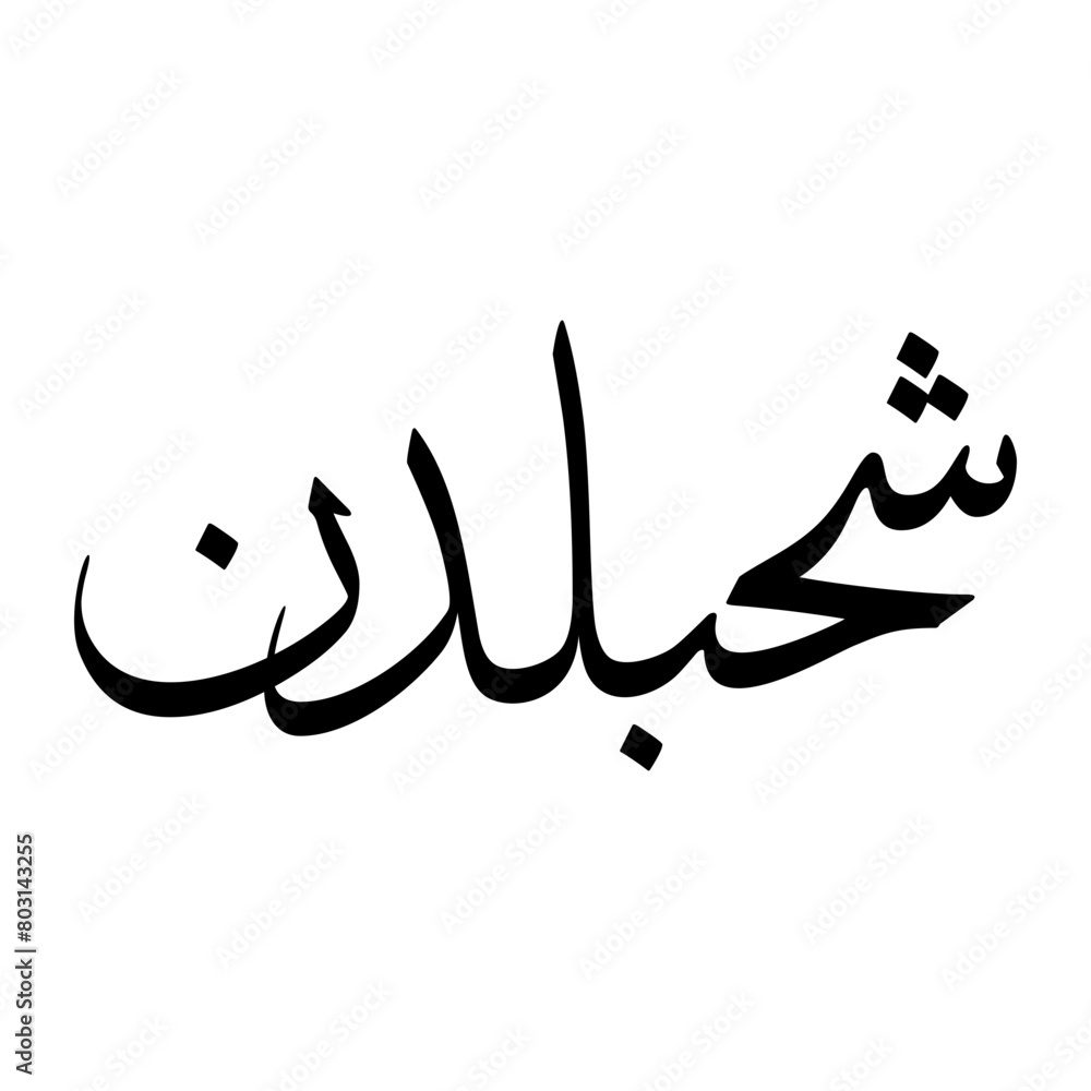 Shihab Muslim Boy Name Sulus Font Arabic Calligraphy Stock Vector ...