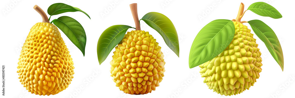 PNG jackfruit 3d icons and objects collection, in cartoon style minimal ...