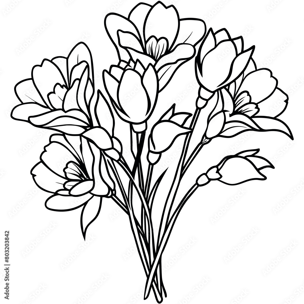 Freesia Flower Bouquet outline illustration coloring book page design ...