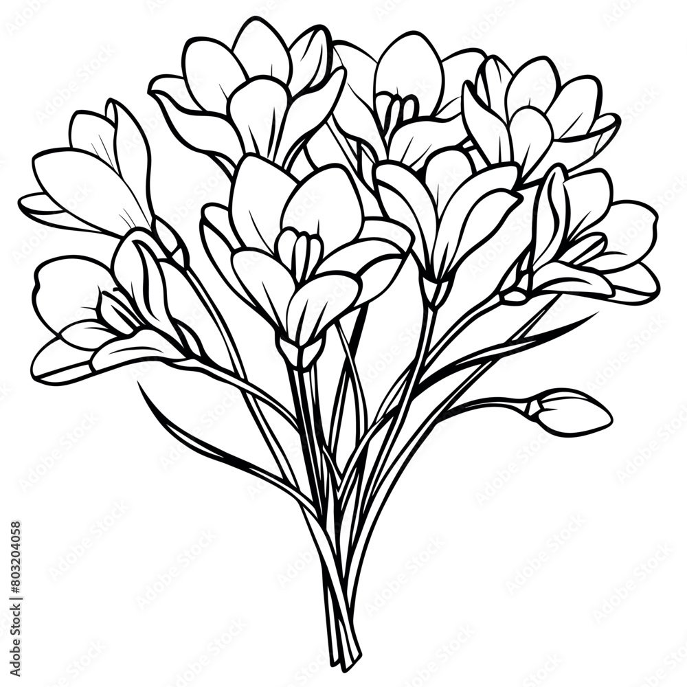 Freesia Flower Bouquet outline illustration coloring book page design ...