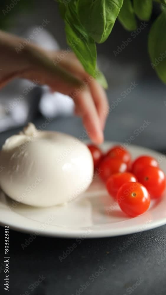 burrata cheese buffalo burrata appetizer meal food snack on the table ...