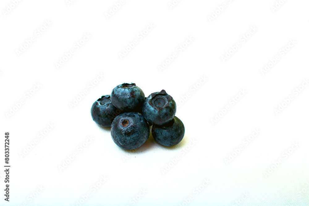Conjunto de moras azules o Vaccinium corymbosum en un fondo blanco ...