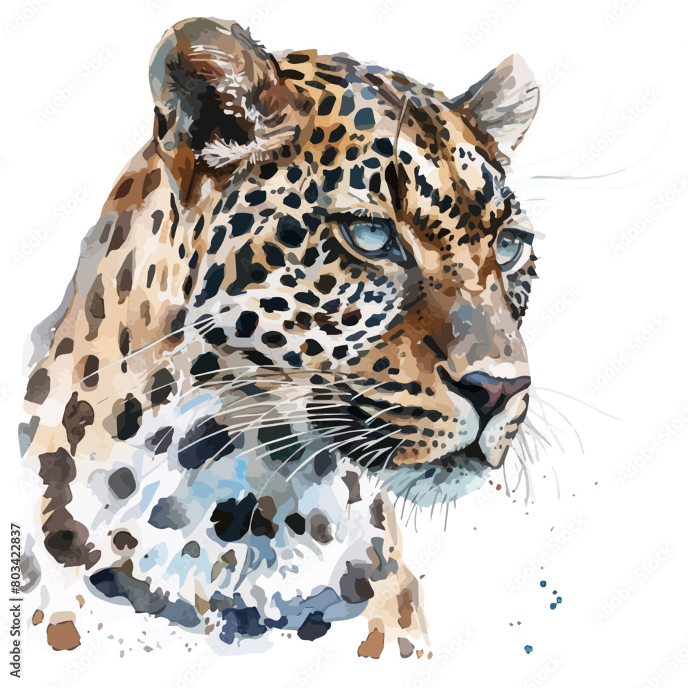 Watercolor Illustration painting of a leopard, isolated on a white ...