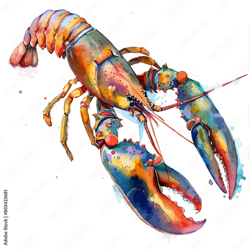 Watercolor Vector painting of a lobster, isolated on a white background ...