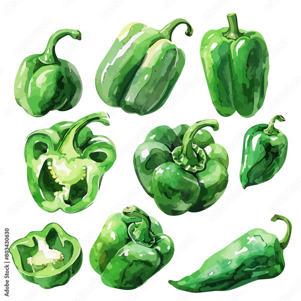 Watercolor Vector painting of capsicum set, isolated on a white ...
