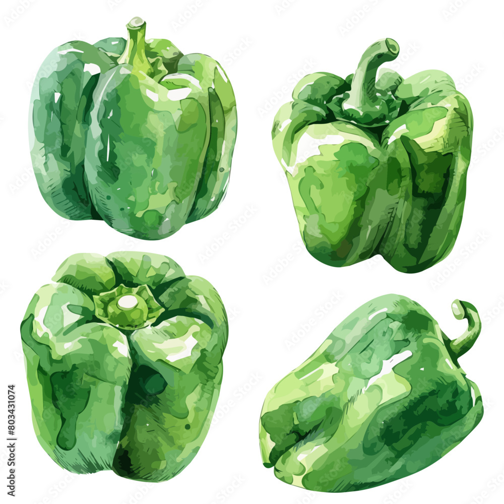 Watercolor clipart vector of capsicum, isolated on a white background ...
