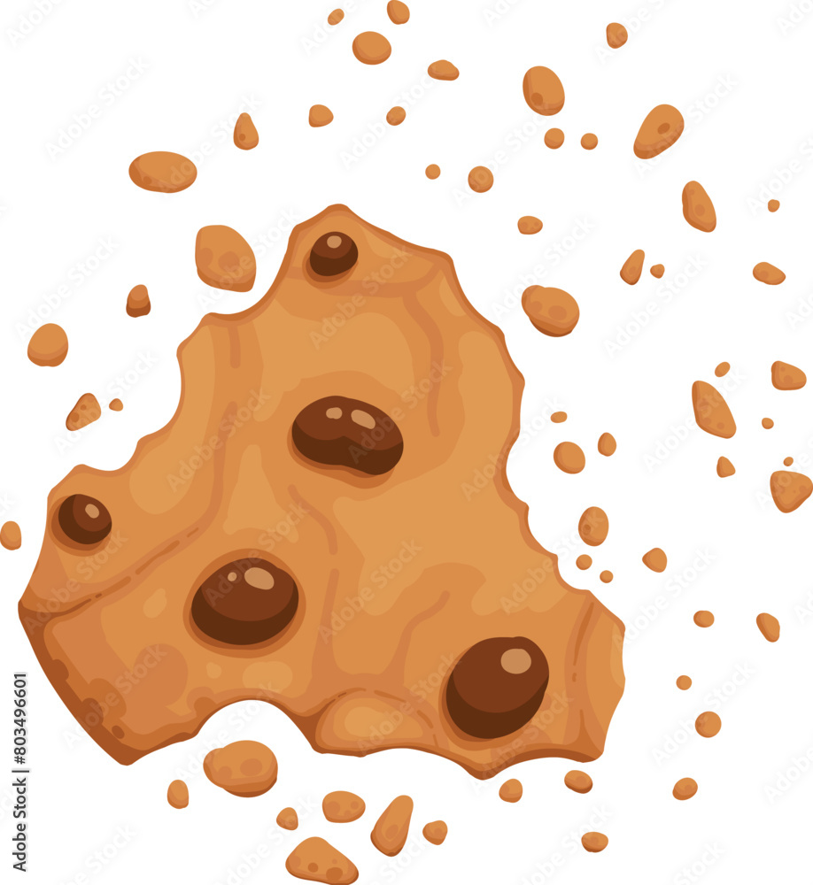 Bitten chocolate chip cookie. Crunch homemade brown biscuit broken with ...