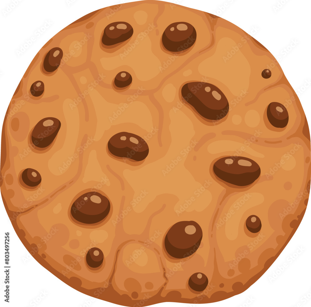 Bitten chocolate chip cookie. Crunch homemade brown biscuit broken with ...