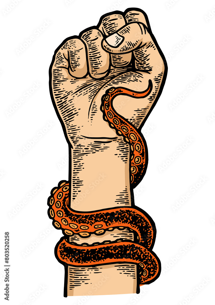 Octopus tentacle wrapped around human arm sketch engraving PNG ...