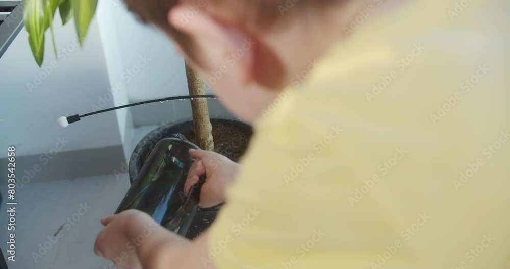 Back view of child is watering a potted indoor plant, taking care of ...