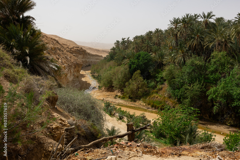 Picturesque view of Tamerza Oasis - the largest mountain oasis in ...