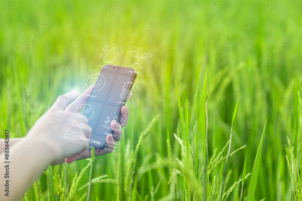 Smart farming uses technology to control planting, caring for ...