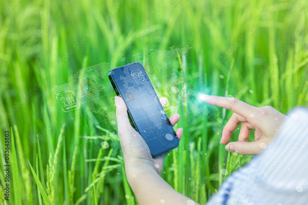 Smart farming uses technology to control planting, caring for ...