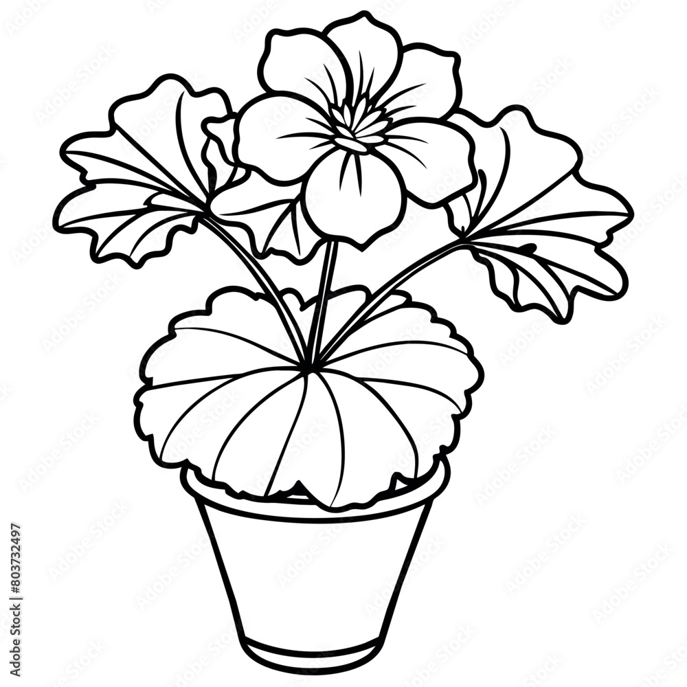 Geranium flower on the vase outline illustration coloring book page ...