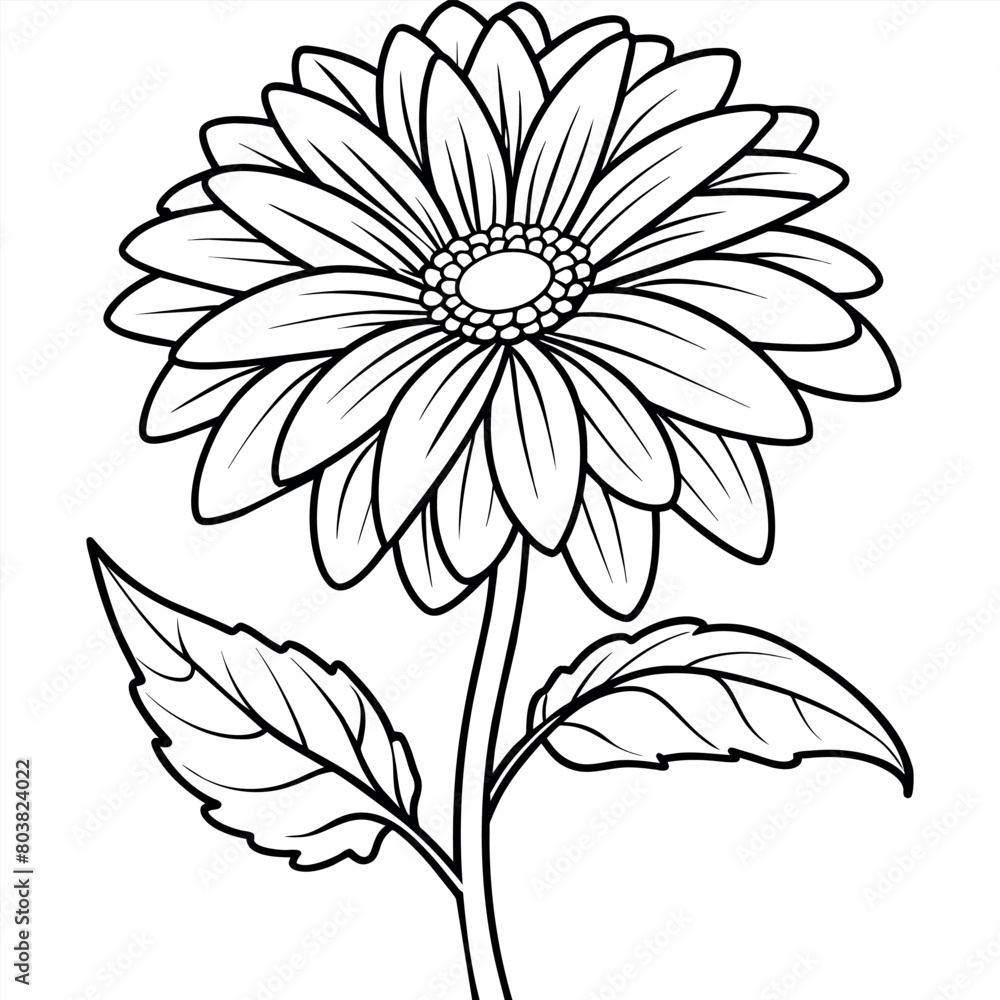 Gerbera flower plant outline illustration coloring book page design ...