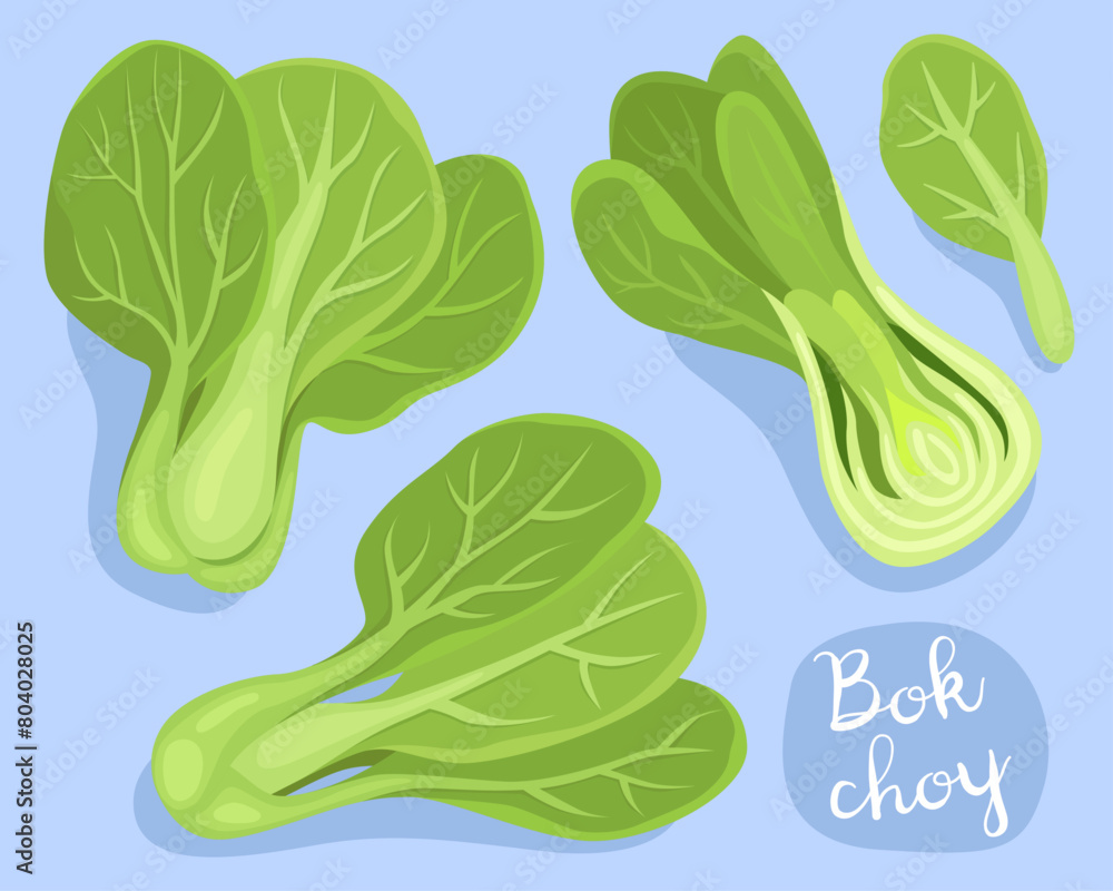 Bok choy. Pak choi, pok choi, chinese cabbage. Asian green vegetable ...