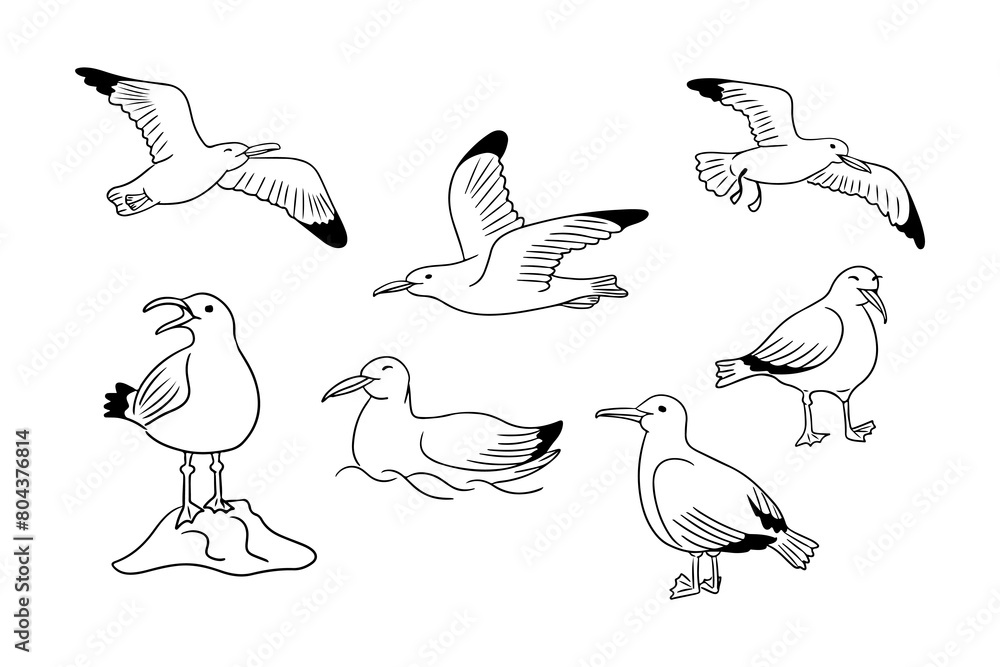 Summer set of cute doodle seagulls isolated on white background ...