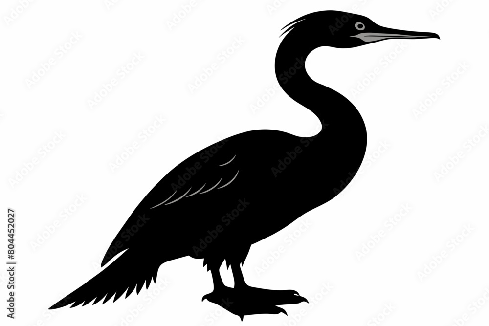 Cormorant silhouette on white background, Vector illustration, icon ...