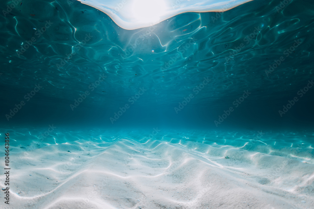Tropical blue ocean with white sandy sea bottom underwater in Hawaii ...