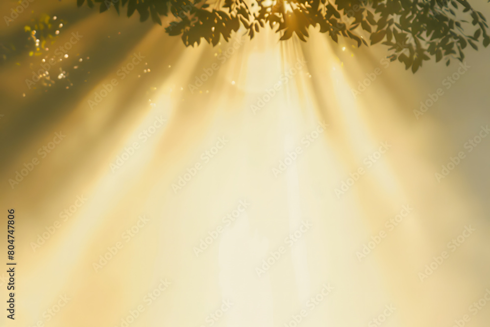 Natural sun light effects, Photoshop Overlays, sunlight, sun lens, sun ...