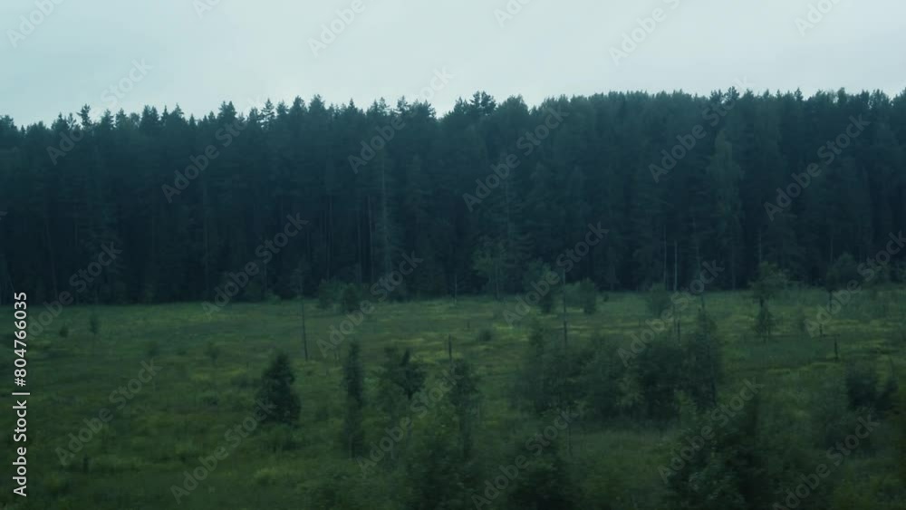 Full HD video. Camera movement. Landscape with view of forest from ...