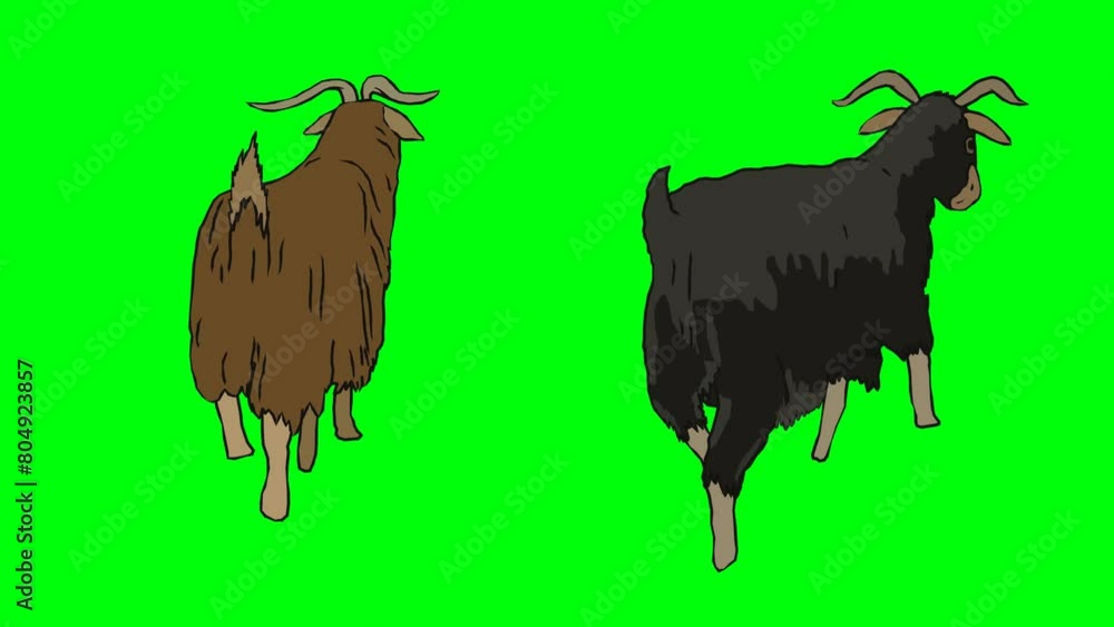 2D animated two goats character walking cycle back angle in green ...