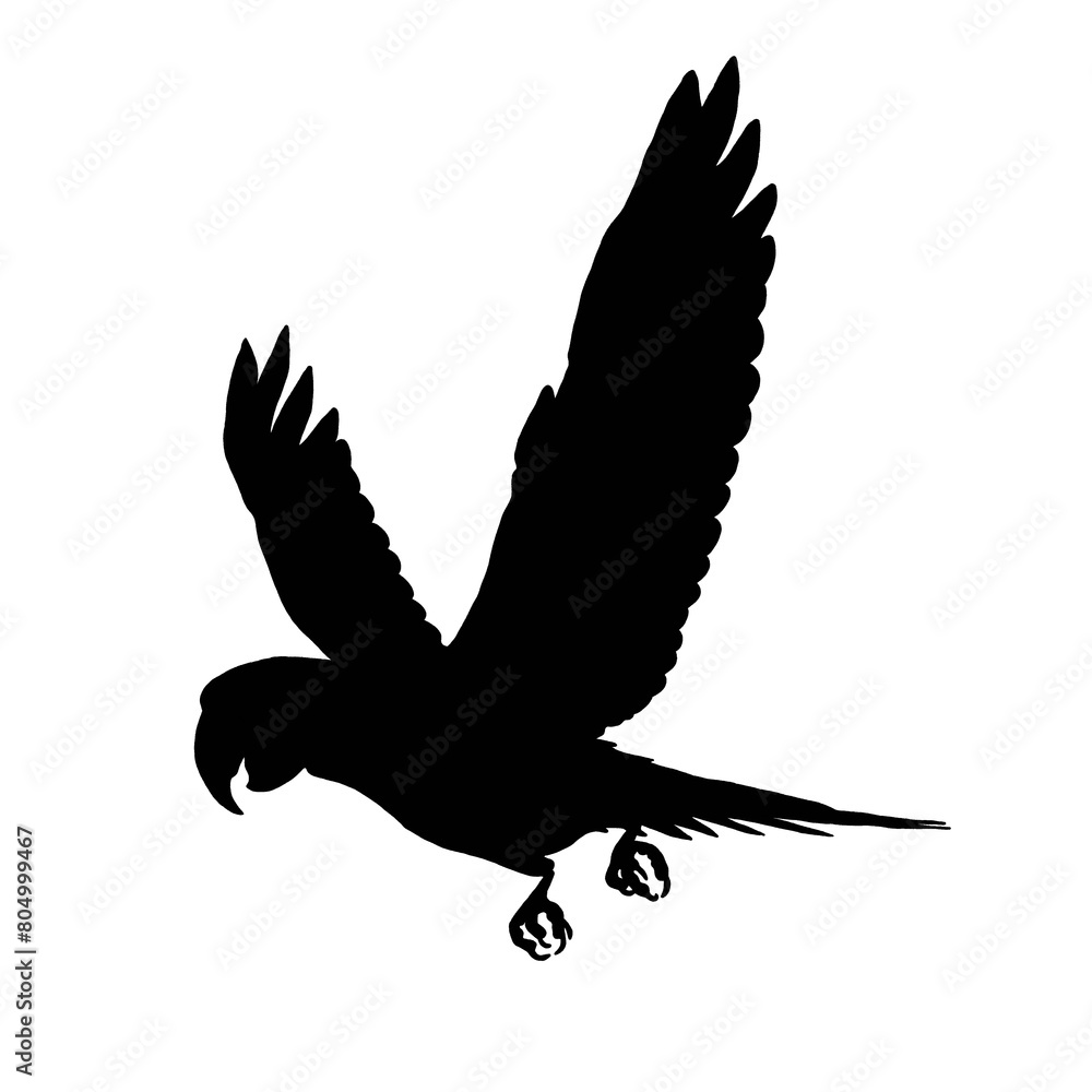 Black Parrot Clip Art | Parrot Illustration | Parrot Drawing Stock ...
