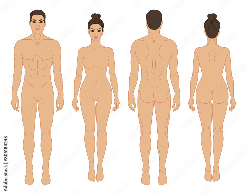 Man And Woman Body Front And Back View Vector Illustration Isolated Outline Line Contour