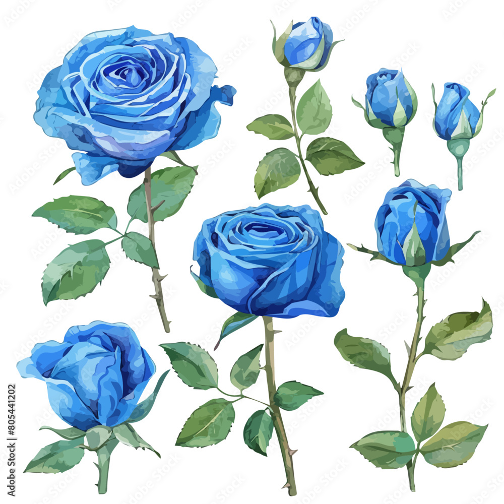 Watercolor clipart vector of a blue rose, isolated on a white ...
